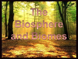 The biosphere and biomes | PPTX