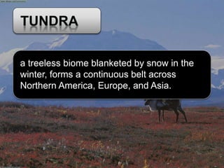 The biosphere and biomes | PPTX