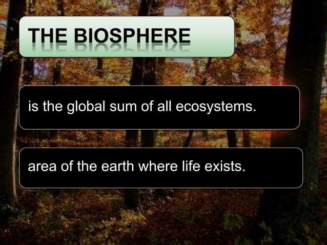 The biosphere and biomes | PPTX