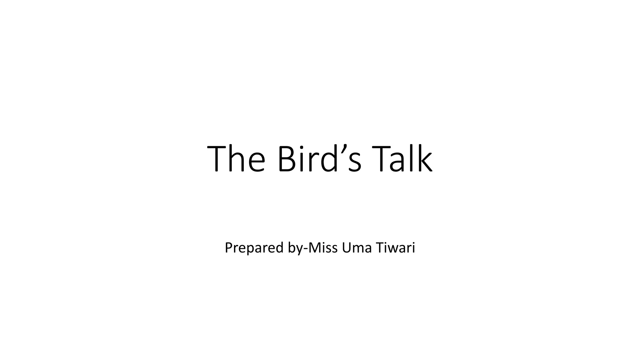The bird talk | PPTX