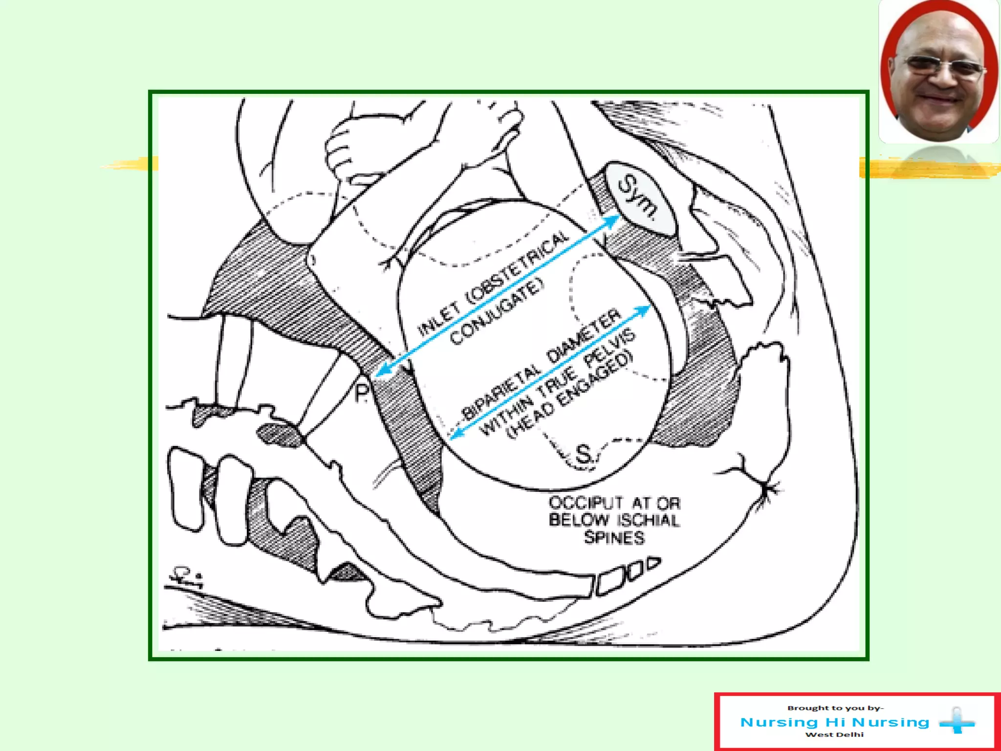 The birth process | PPT