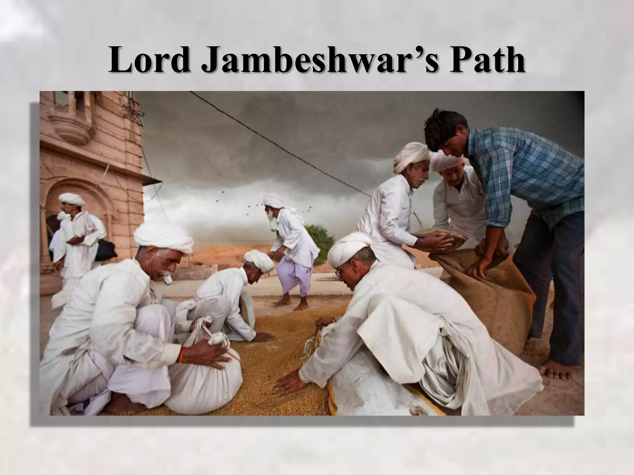 Environment Crusaders The Bishnois – Where Conservation Of Wildlife Is ...