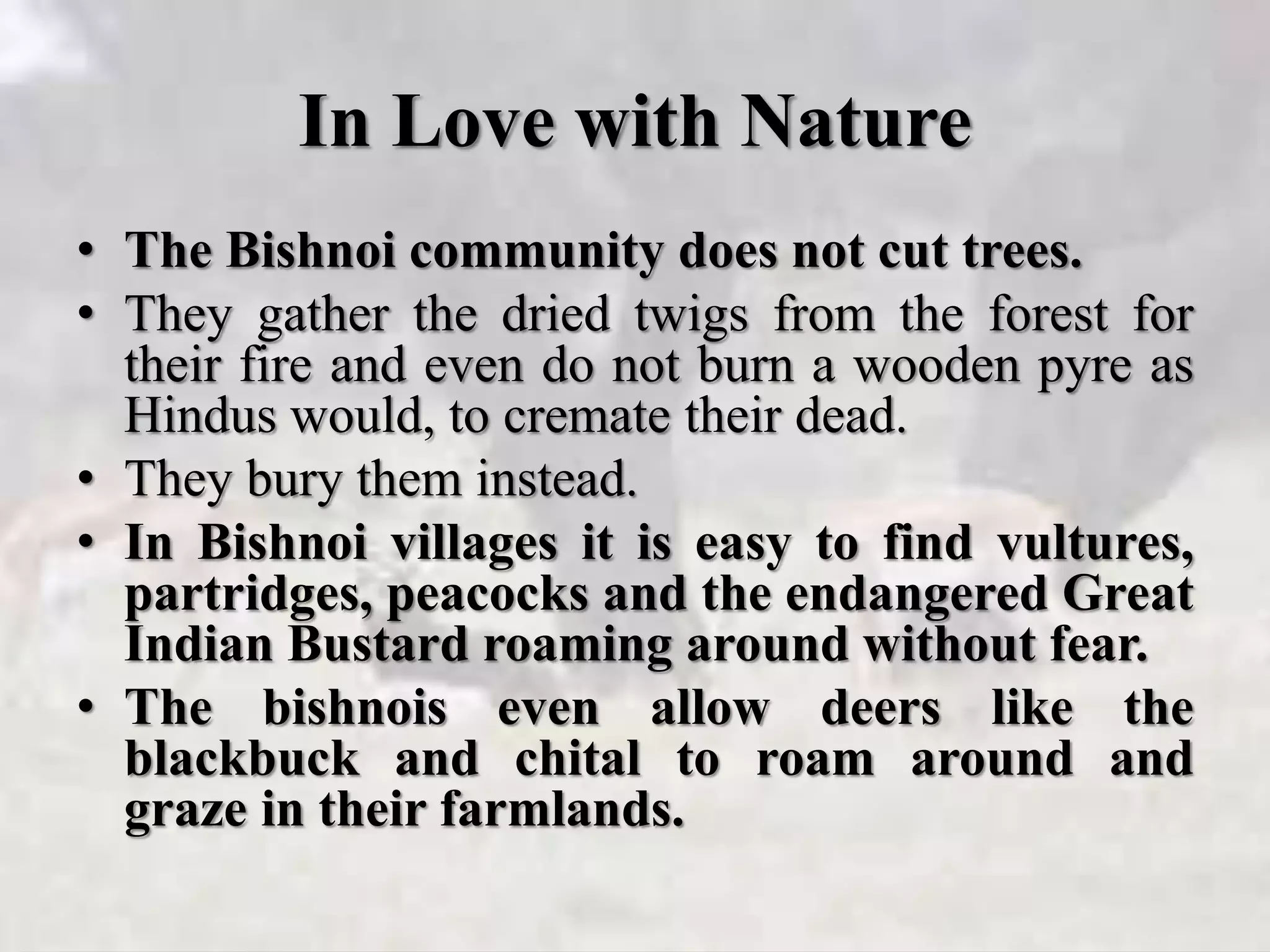 Environment Crusaders The Bishnois – Where Conservation Of Wildlife Is ...