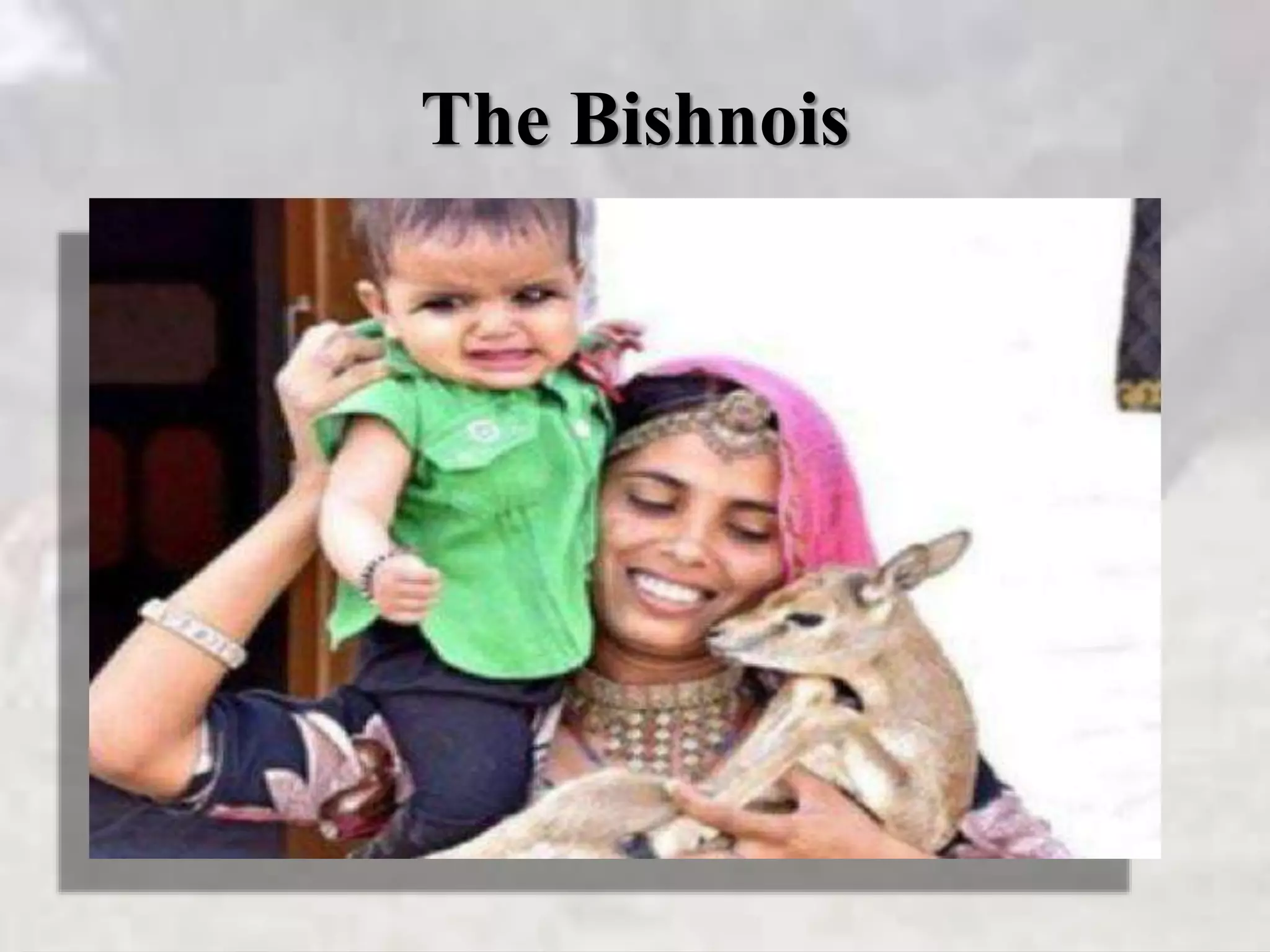 Environment Crusaders The Bishnois – Where Conservation Of Wildlife Is ...