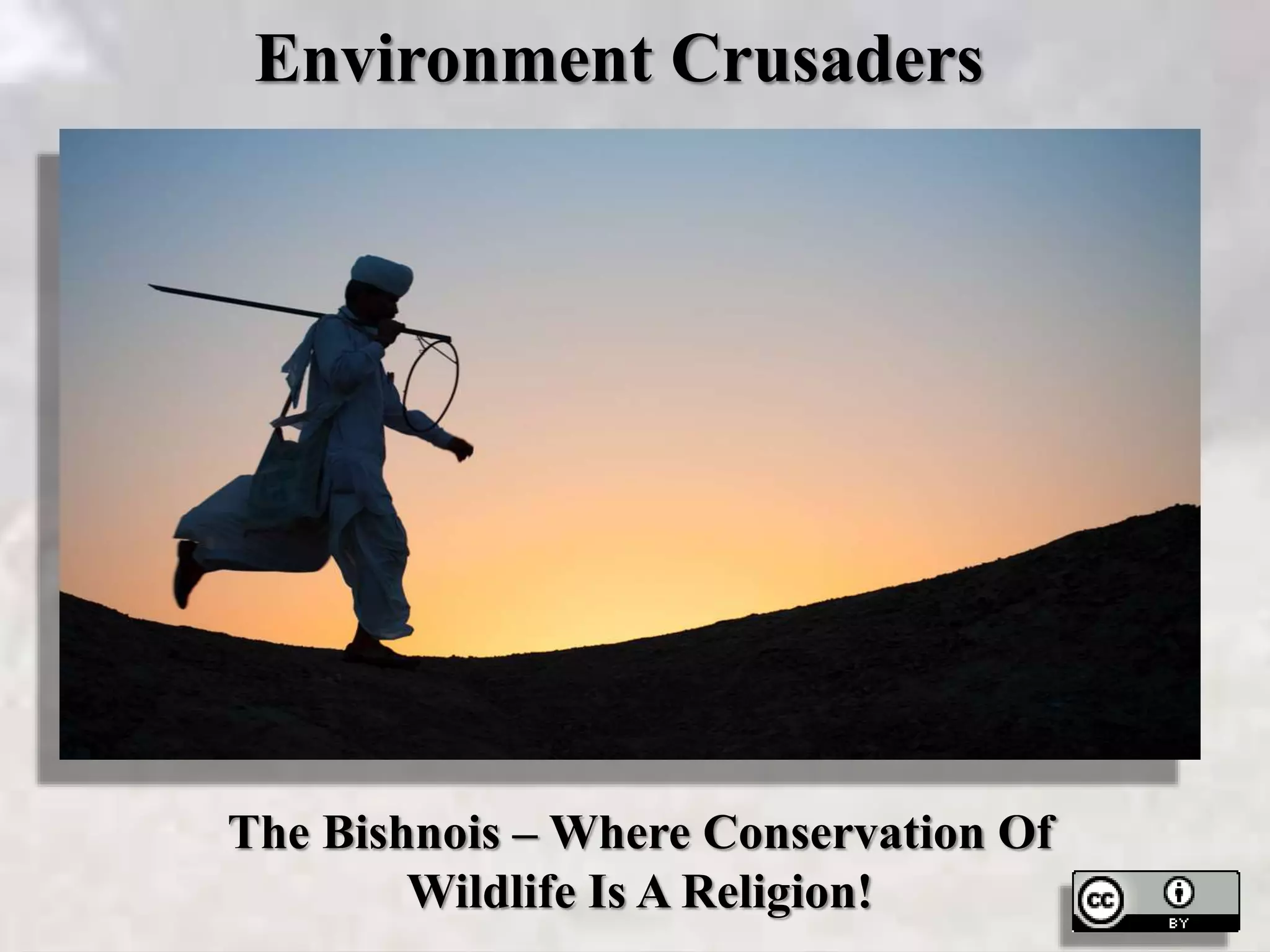 Environment Crusaders The Bishnois – Where Conservation Of Wildlife Is ...