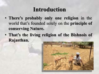 Environment Crusaders The Bishnois – Where Conservation Of Wildlife Is ...