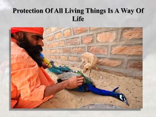 Environment Crusaders The Bishnois – Where Conservation Of Wildlife Is ...