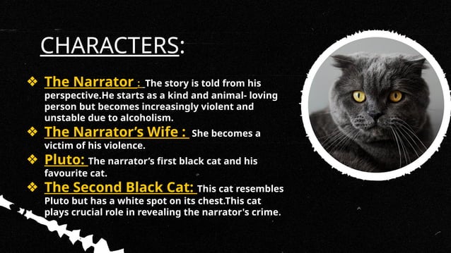 The Black Cat by Edgar Allan Poe....pptx