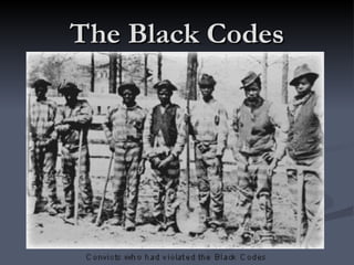 The black codes | PPT
