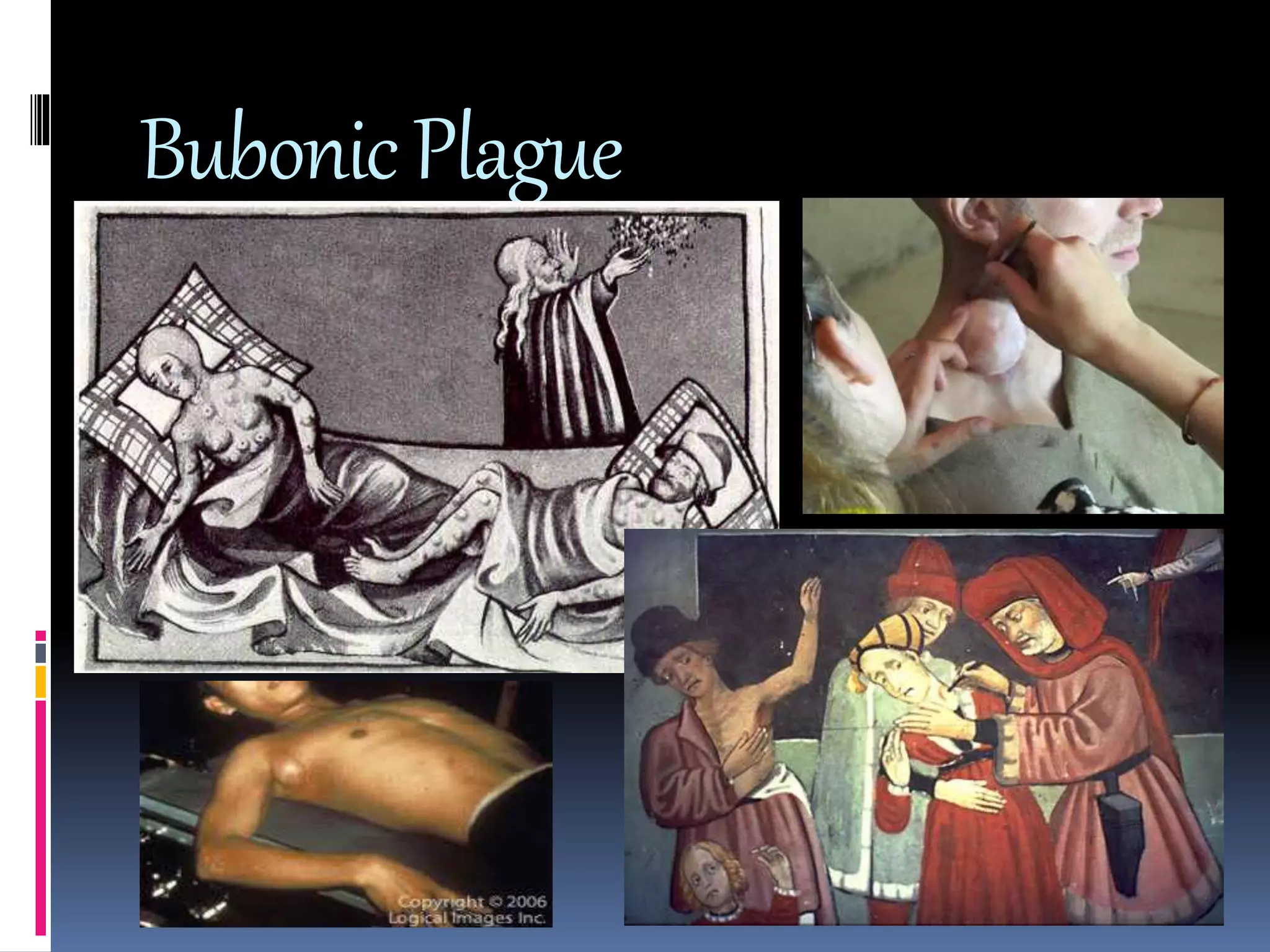 The Black Death | PPTX