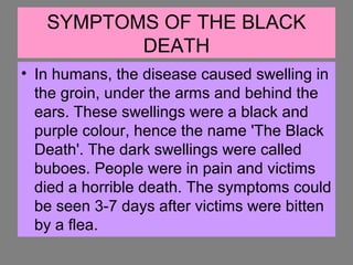 The black death | PPT