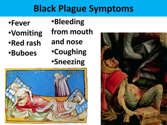 The black death | PPT