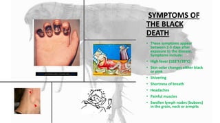 THE BLACK DEATH23.pptx