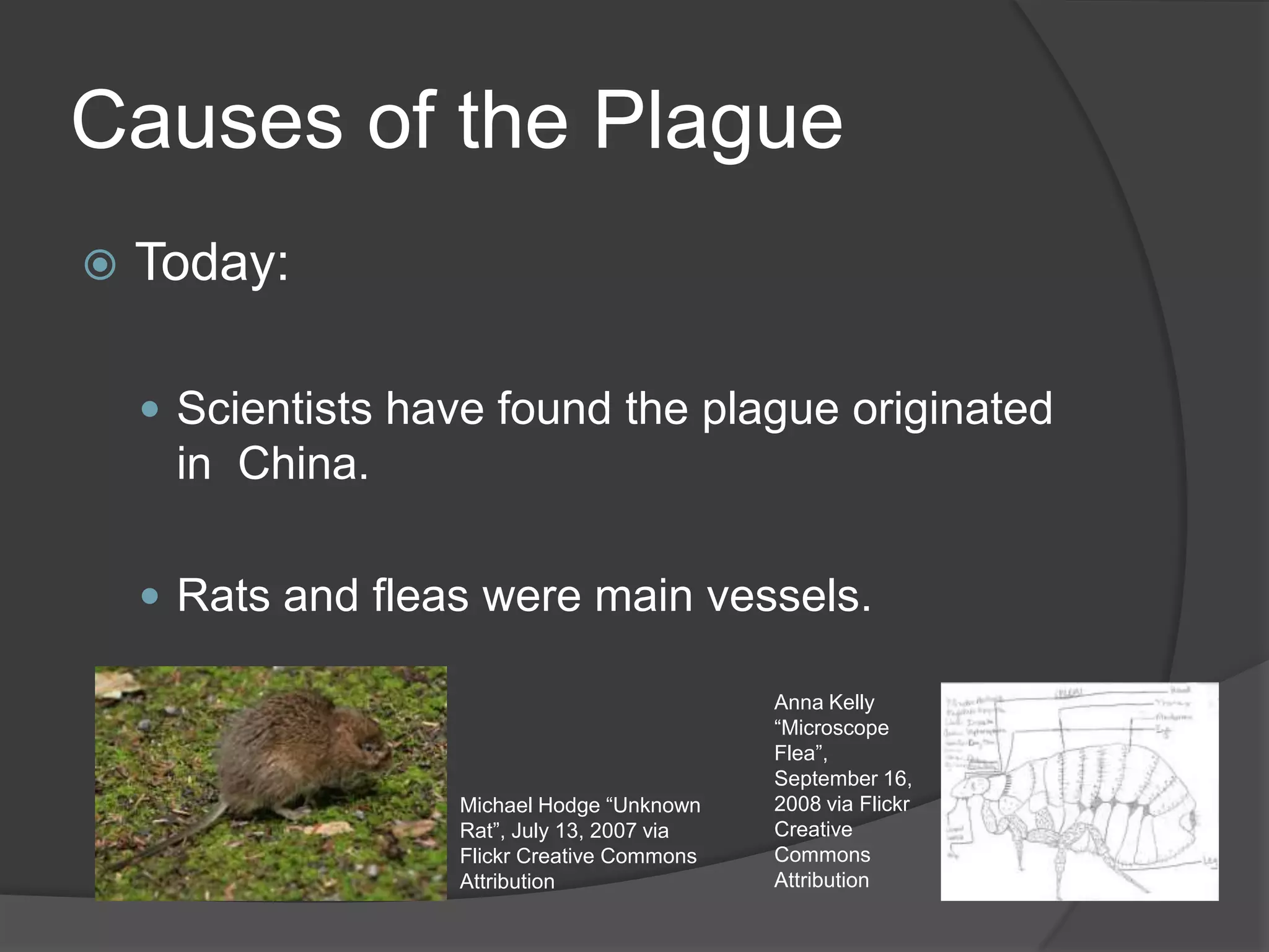The black death in 14th century europe2 | PPTX