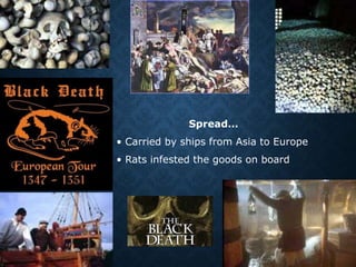 The_Black_Death_Intro.ppt
