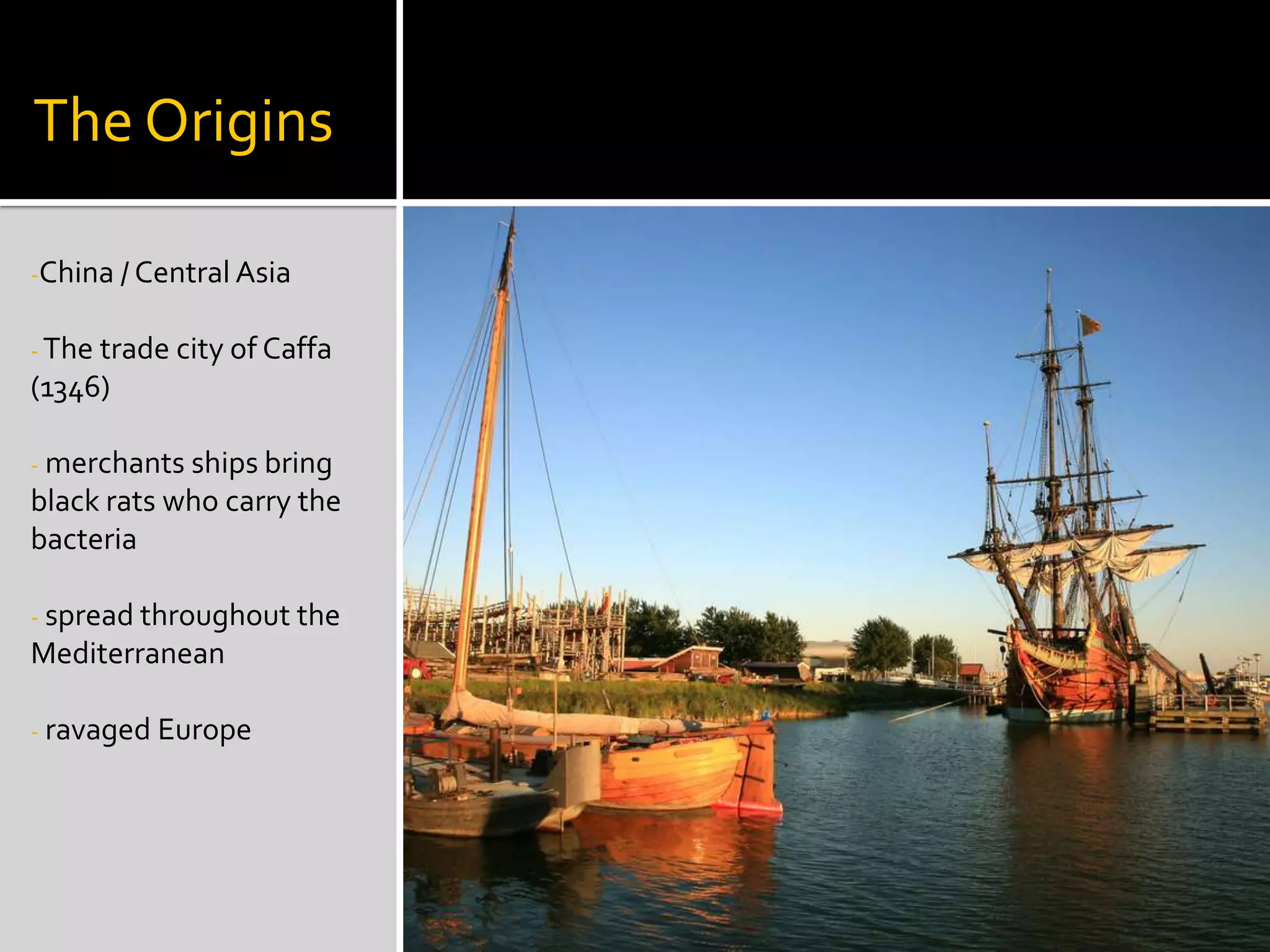 The black death powerpoint | PPTX