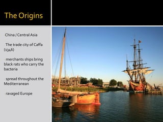 The black death powerpoint | PPTX