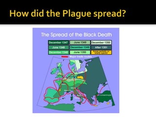The black death powerpoint | PPTX