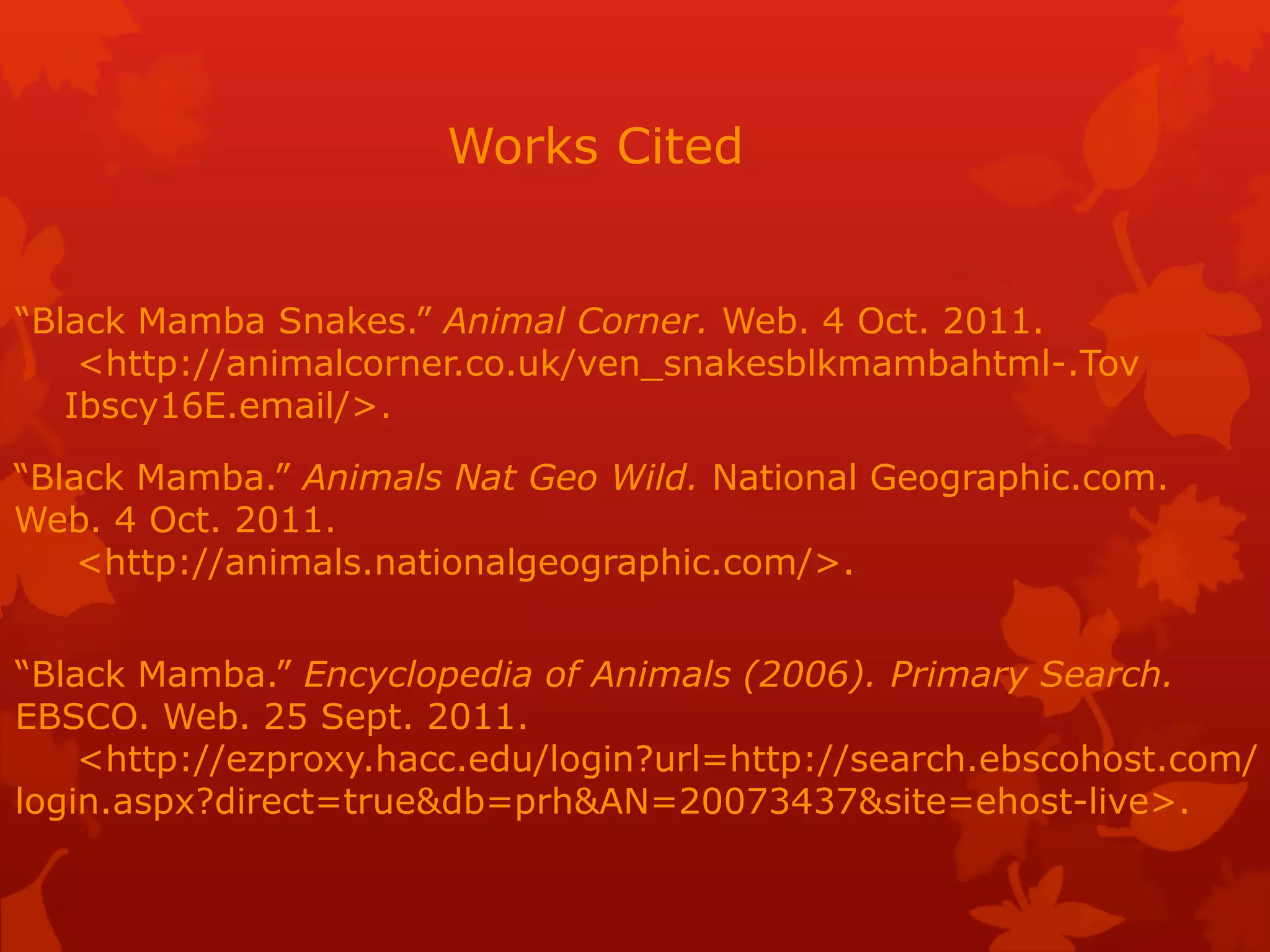 The black mamba project | PPTX