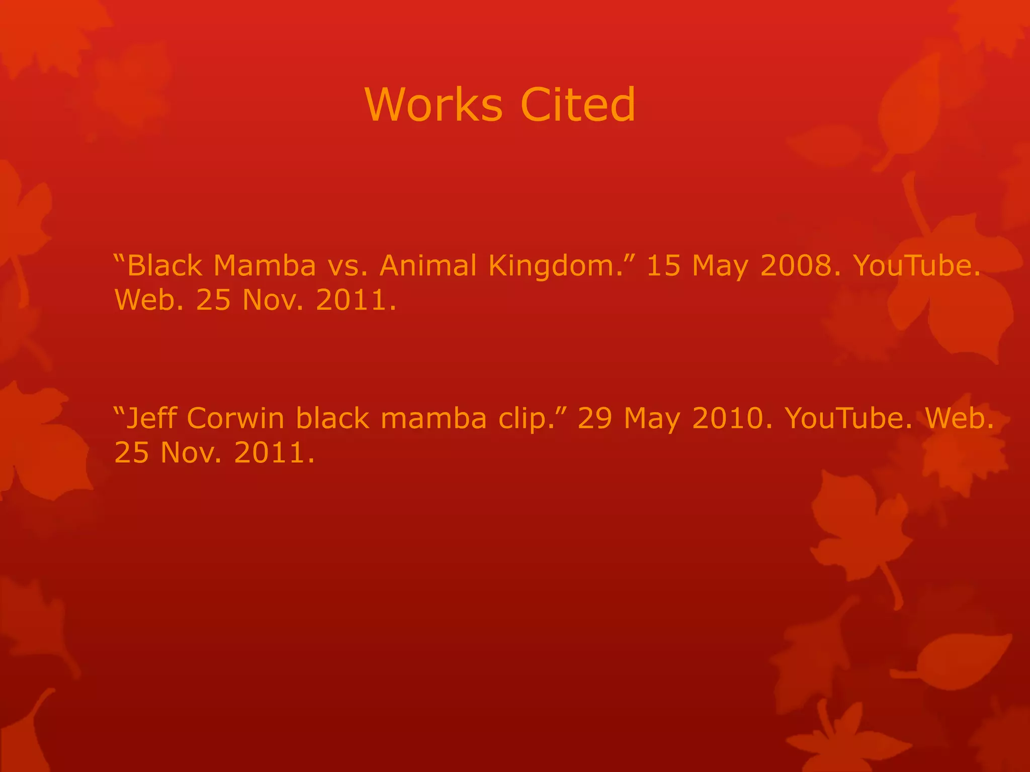 The black mamba project | PPTX