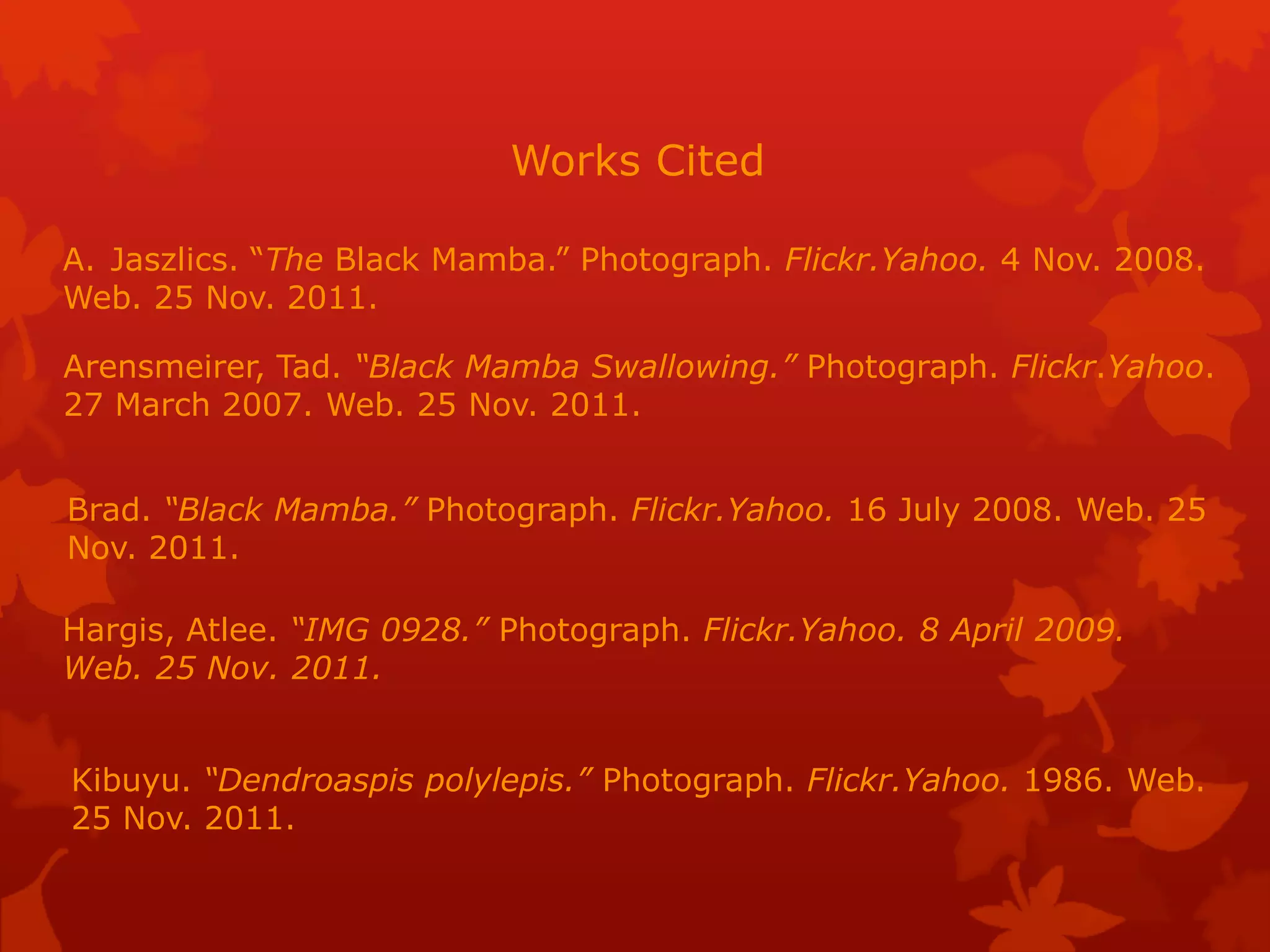 The black mamba project | PPTX