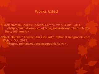 The black mamba project | PDF