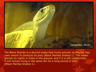 The black mamba project | PDF