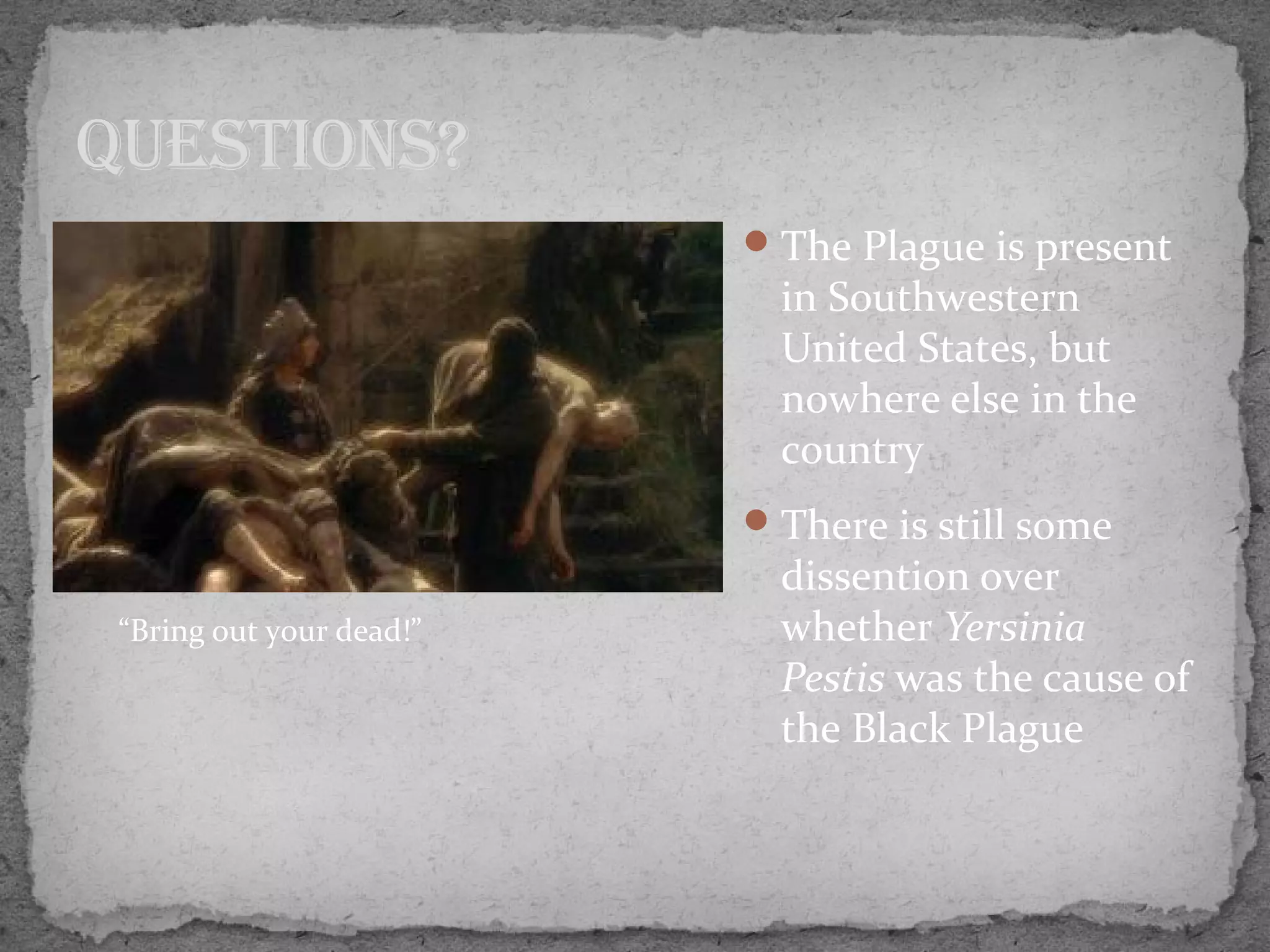 The black plague | PPT