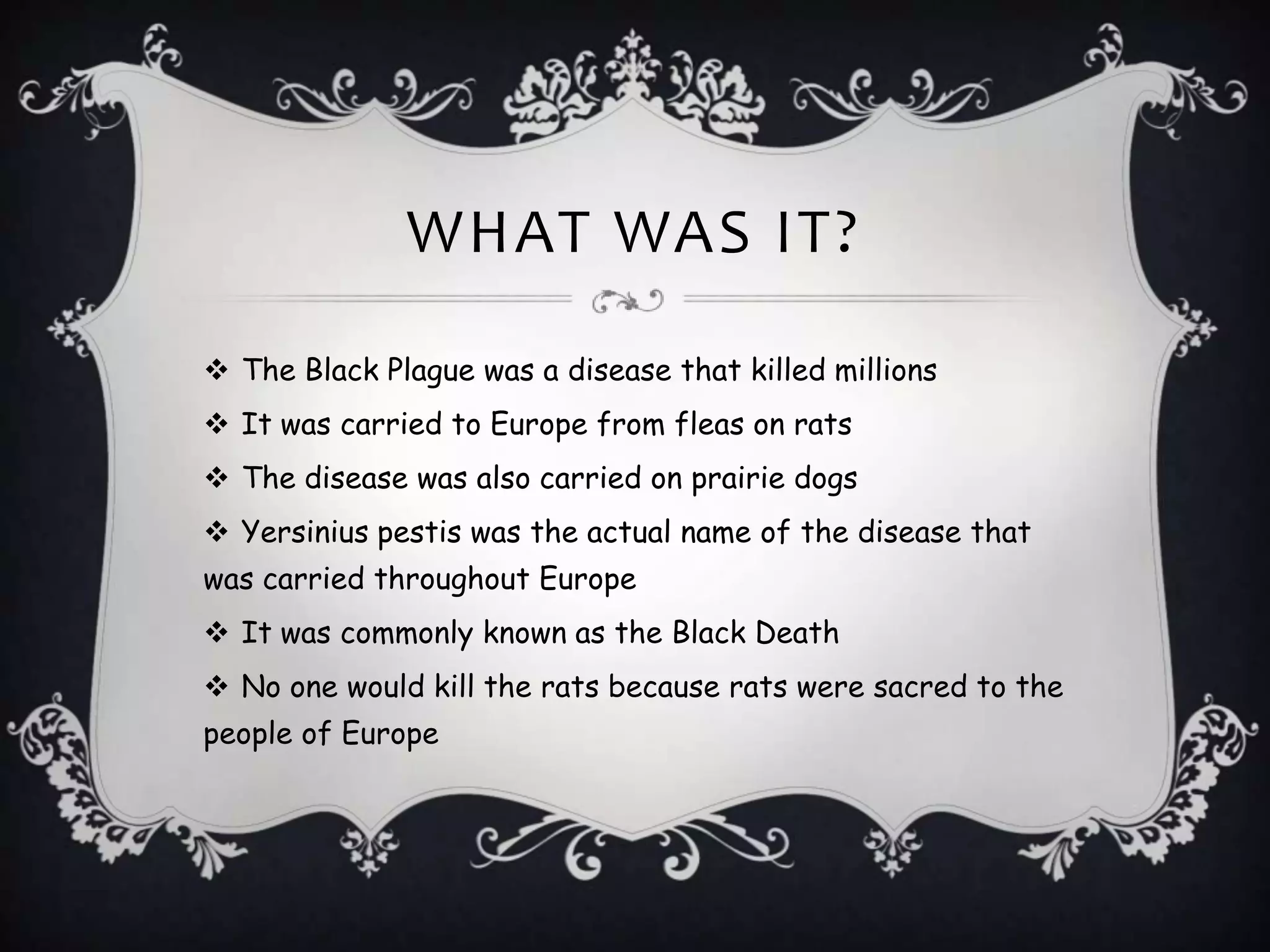 The Black Plague | PPTX