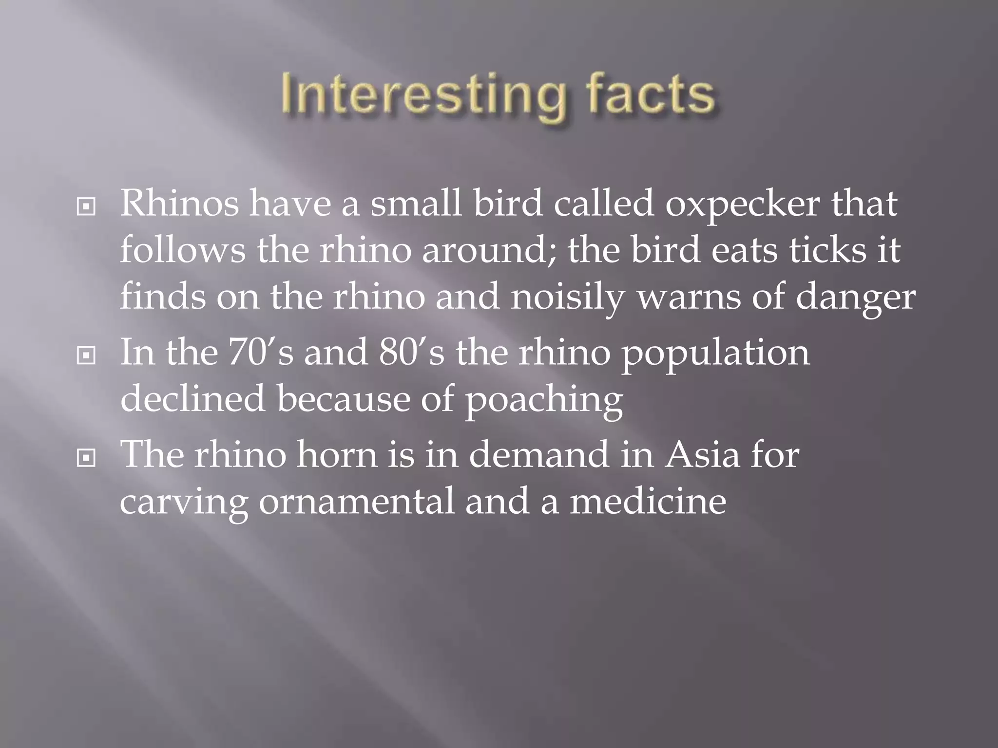 The black rhino pro | PPTX