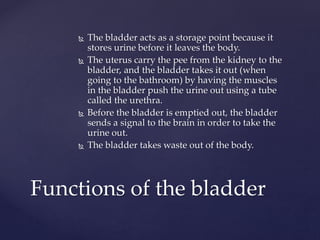 The bladder monirah al khudari | PPT