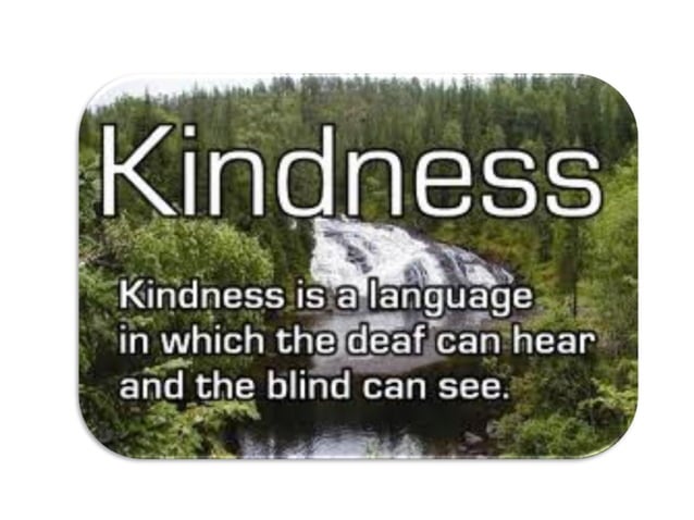 The blind side | PPT