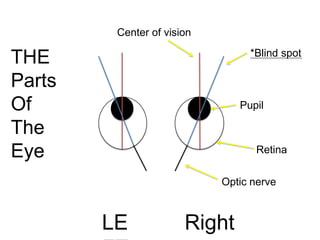 The blind spot | PPTX