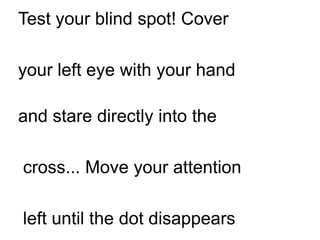 The blind spot | PPTX