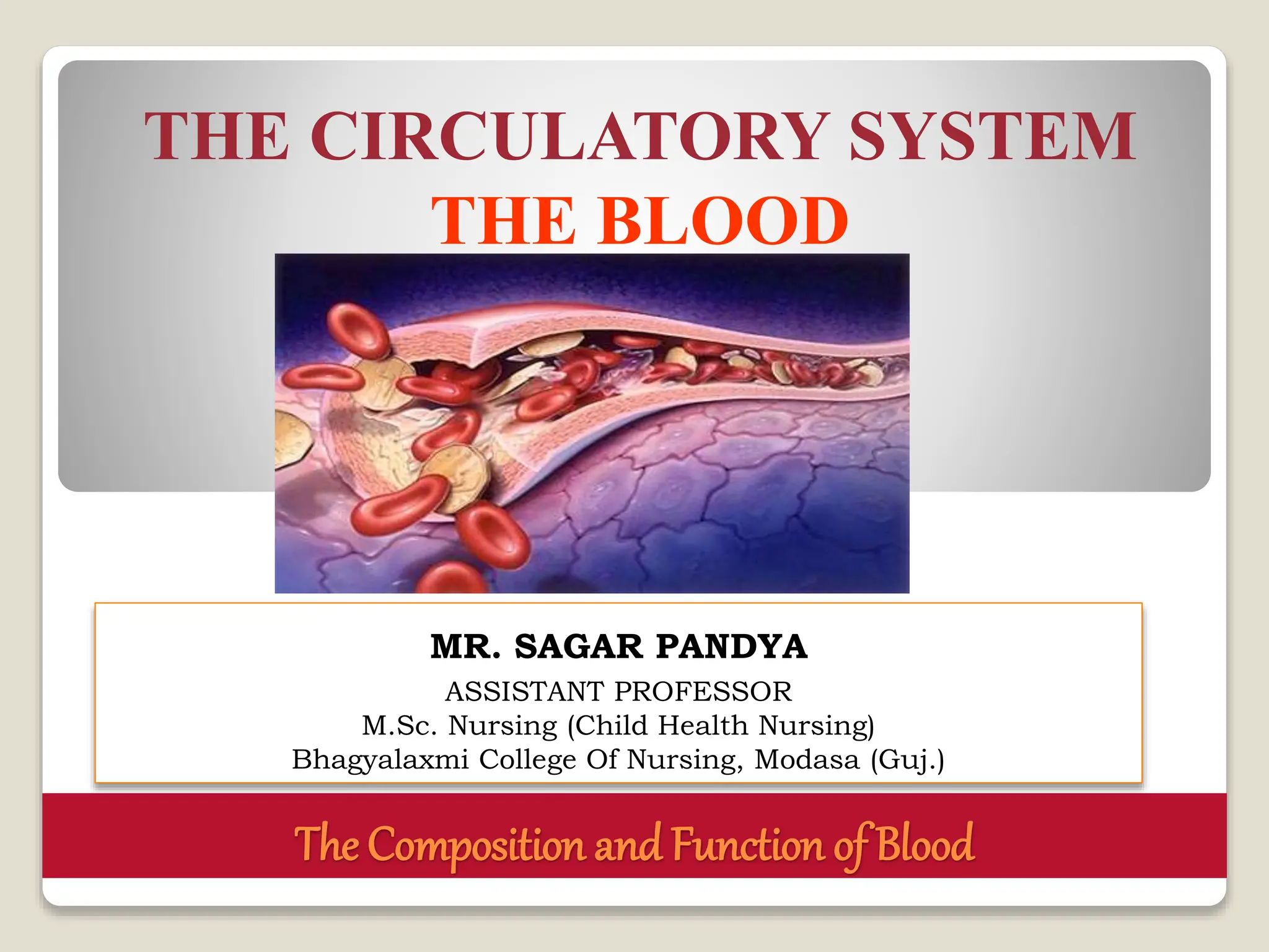 The Blood: Lifeline of the Body - Exploring the Vital Fluid that ...