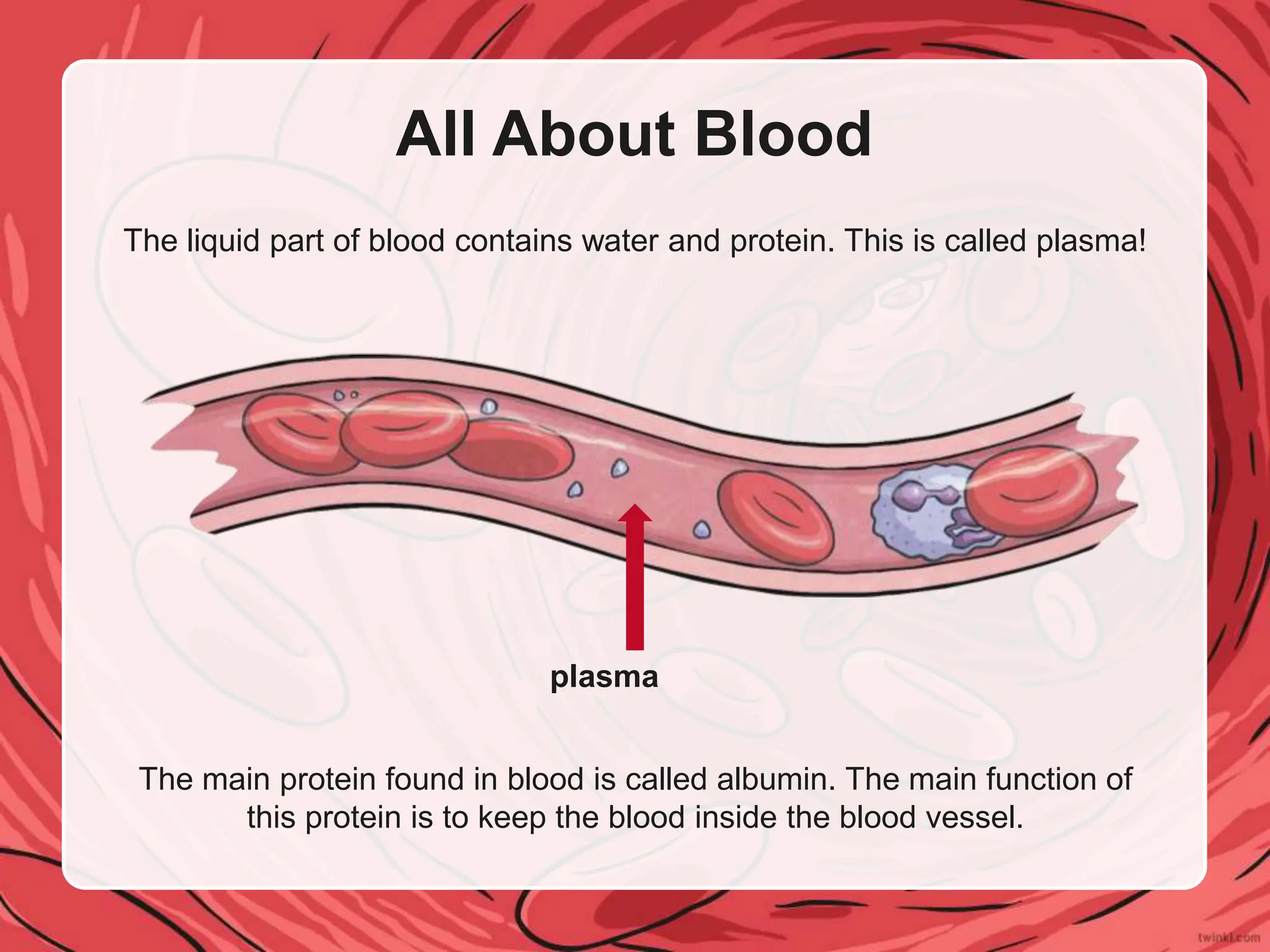 The blood's component and functions-blood | PPT
