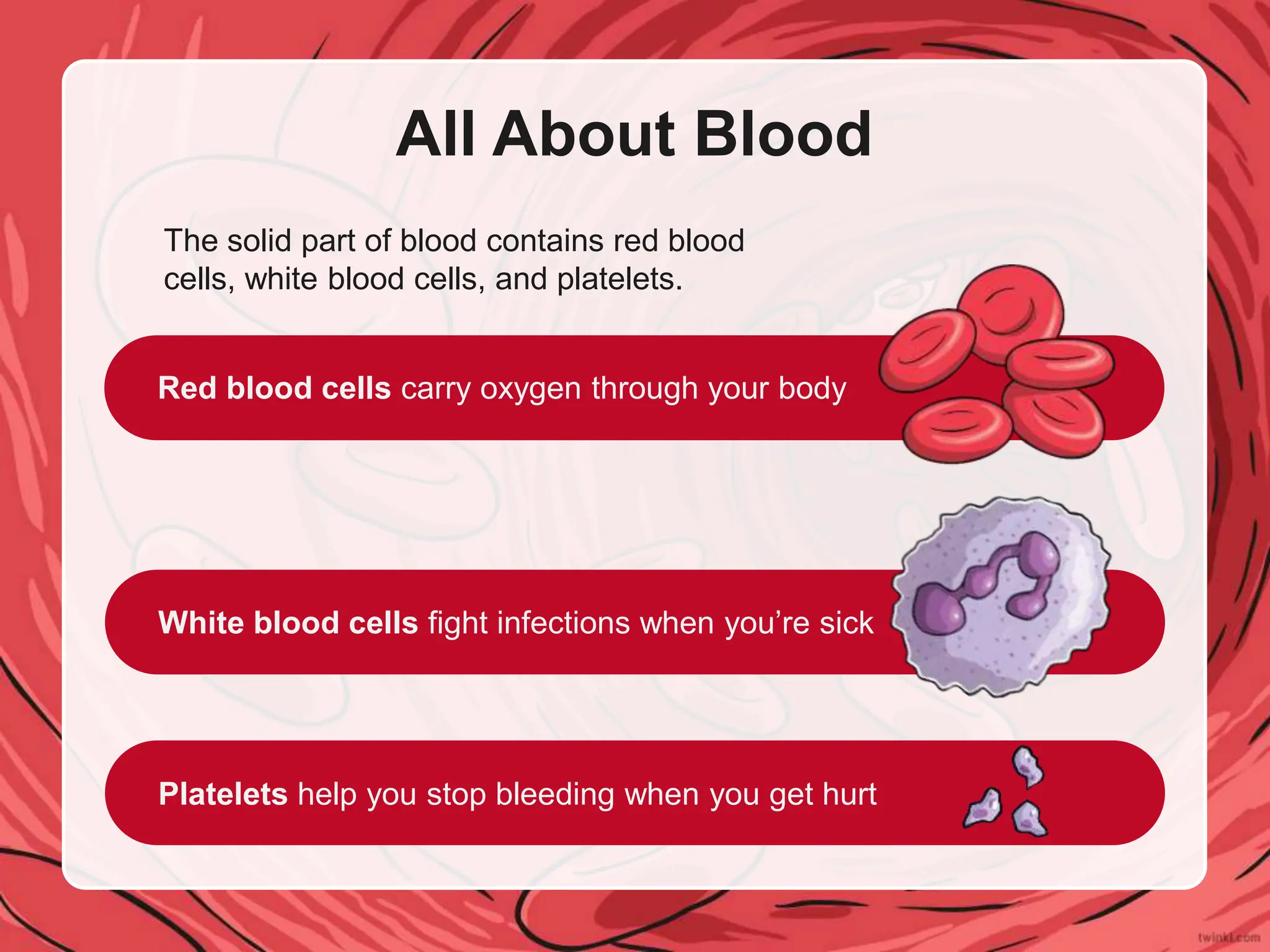 The blood's component and functions-blood | PPT