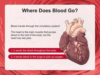 The blood's component and functions-blood | PPT