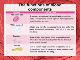 The blood's component and functions-blood | PPT