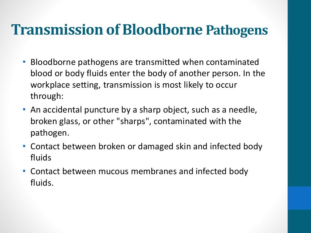 The bloodborne pathogen standard final
