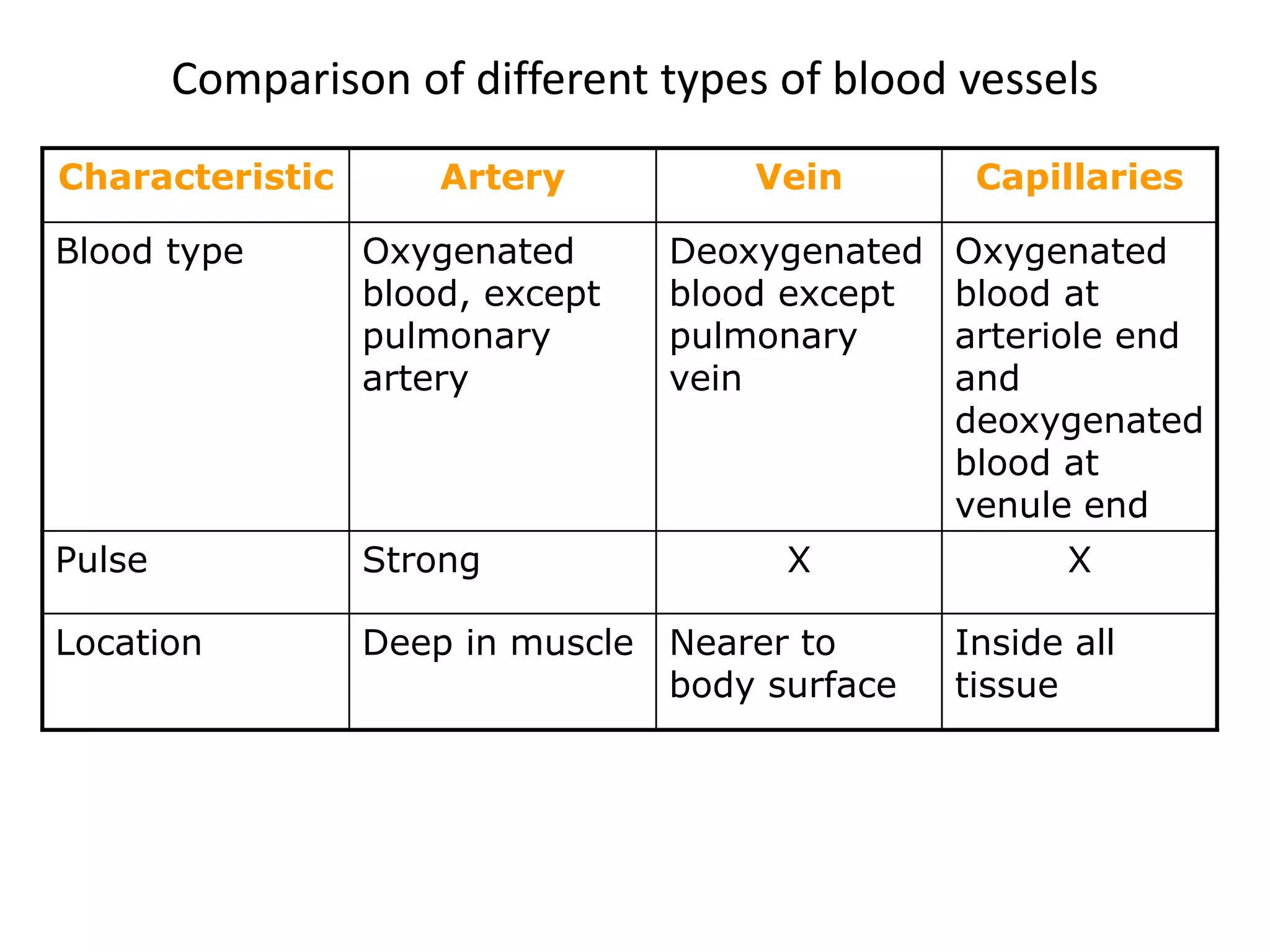 The blood circulatory system IGCSE | PPTX