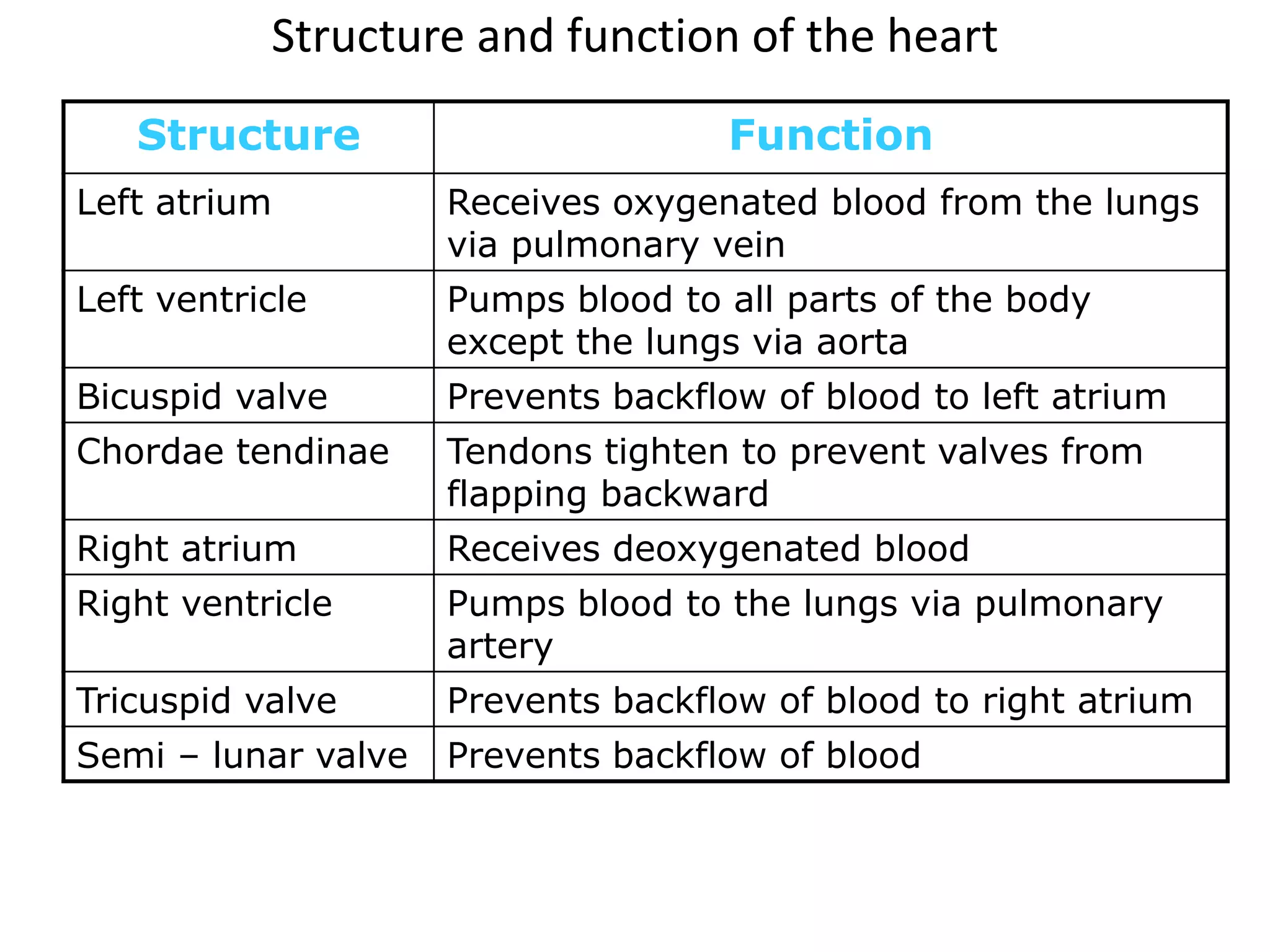 The blood circulatory system IGCSE | PPTX