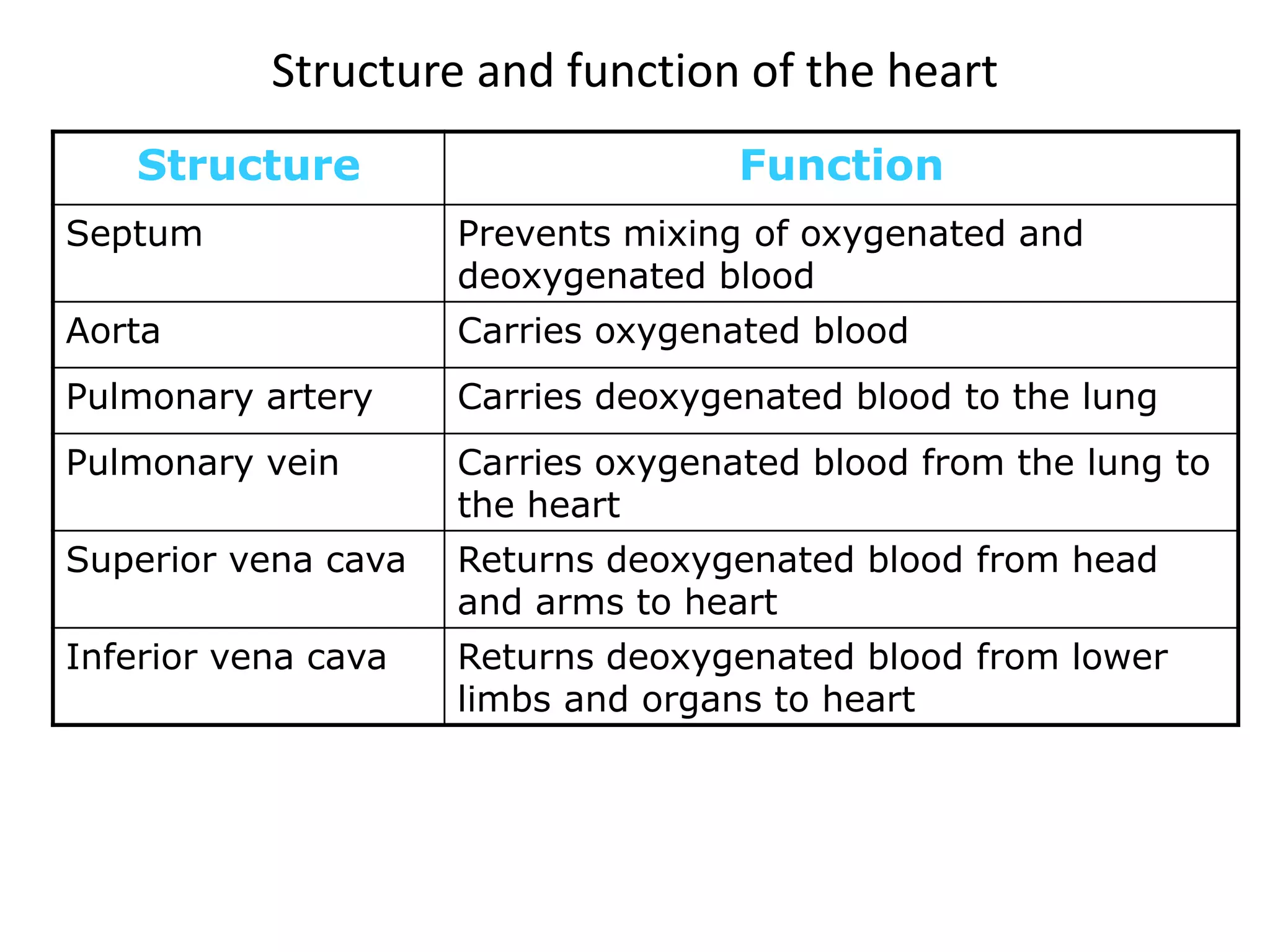 The blood circulatory system IGCSE | PPTX