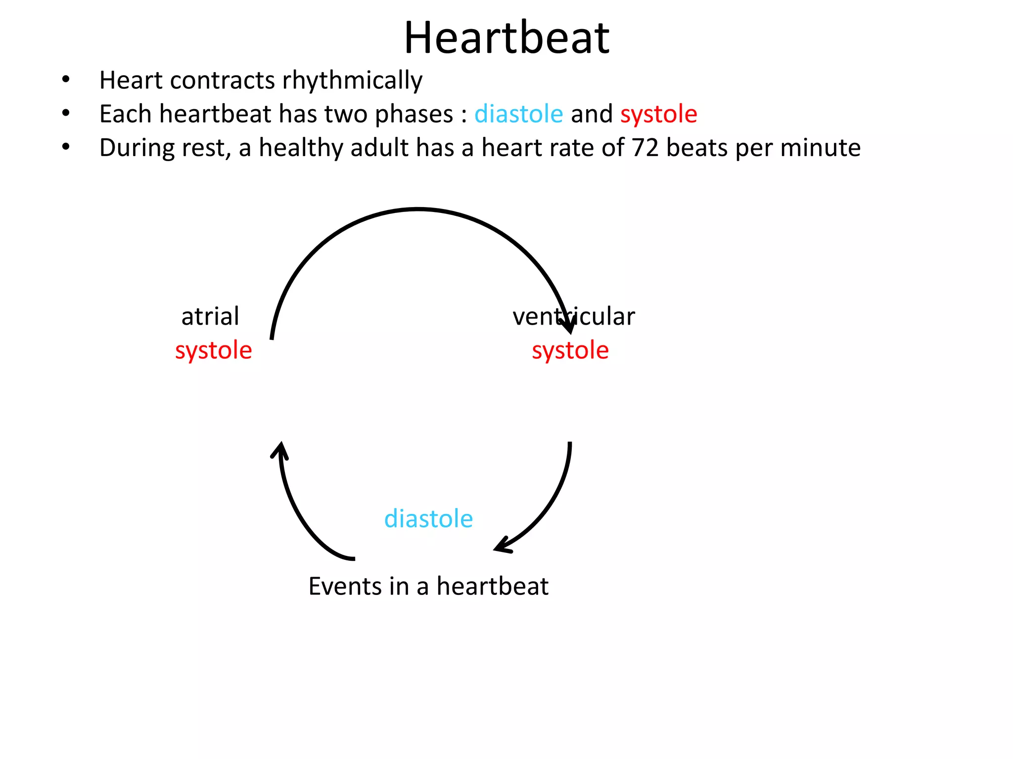 The blood circulatory system IGCSE | PPTX