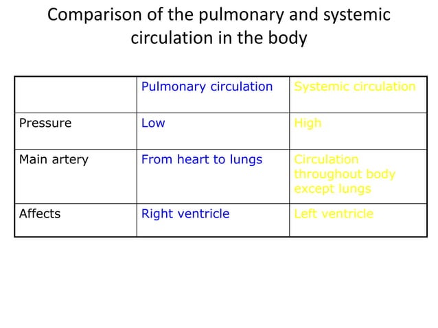 The blood circulatory system IGCSE | PPTX | Heart and Cardiovascular ...