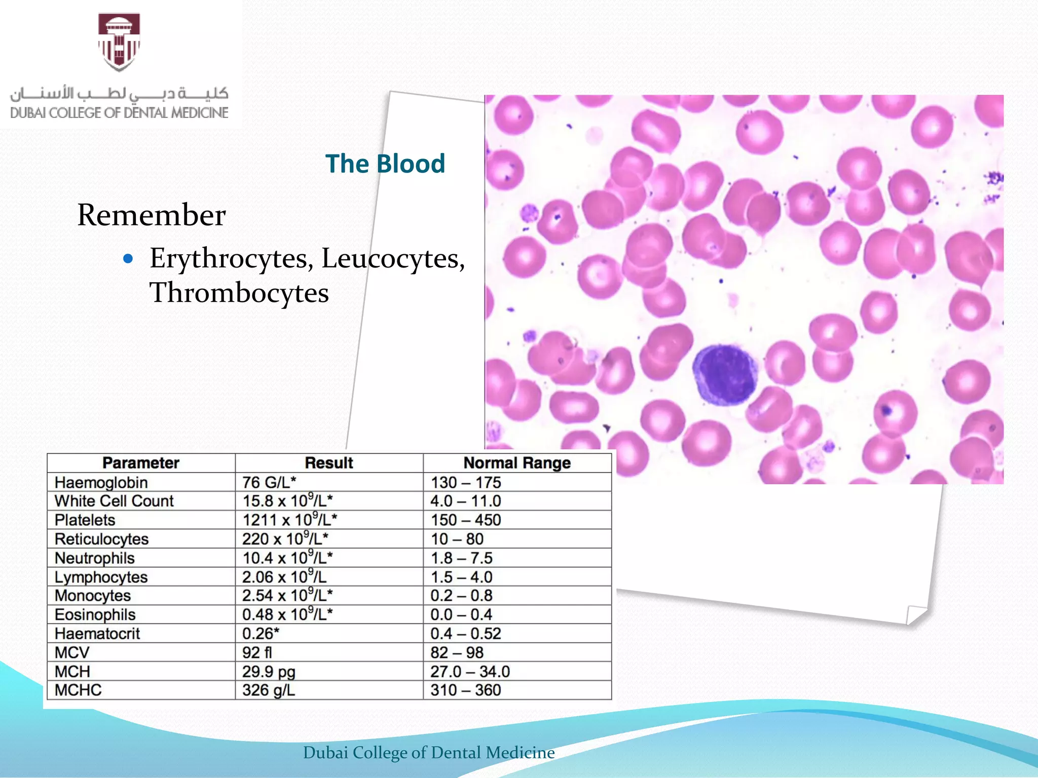 The blood core final | PDF