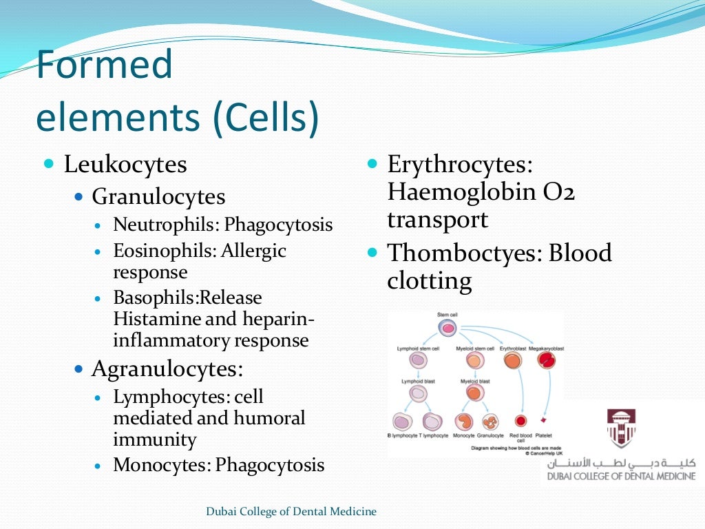 The blood core final