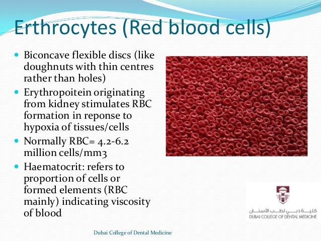 The blood core final