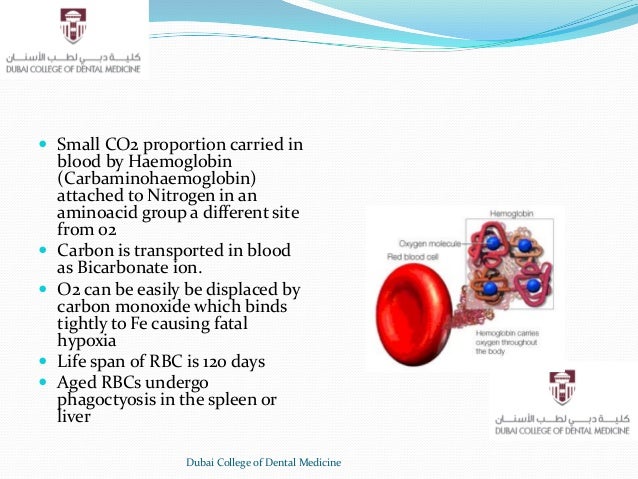 The blood core final