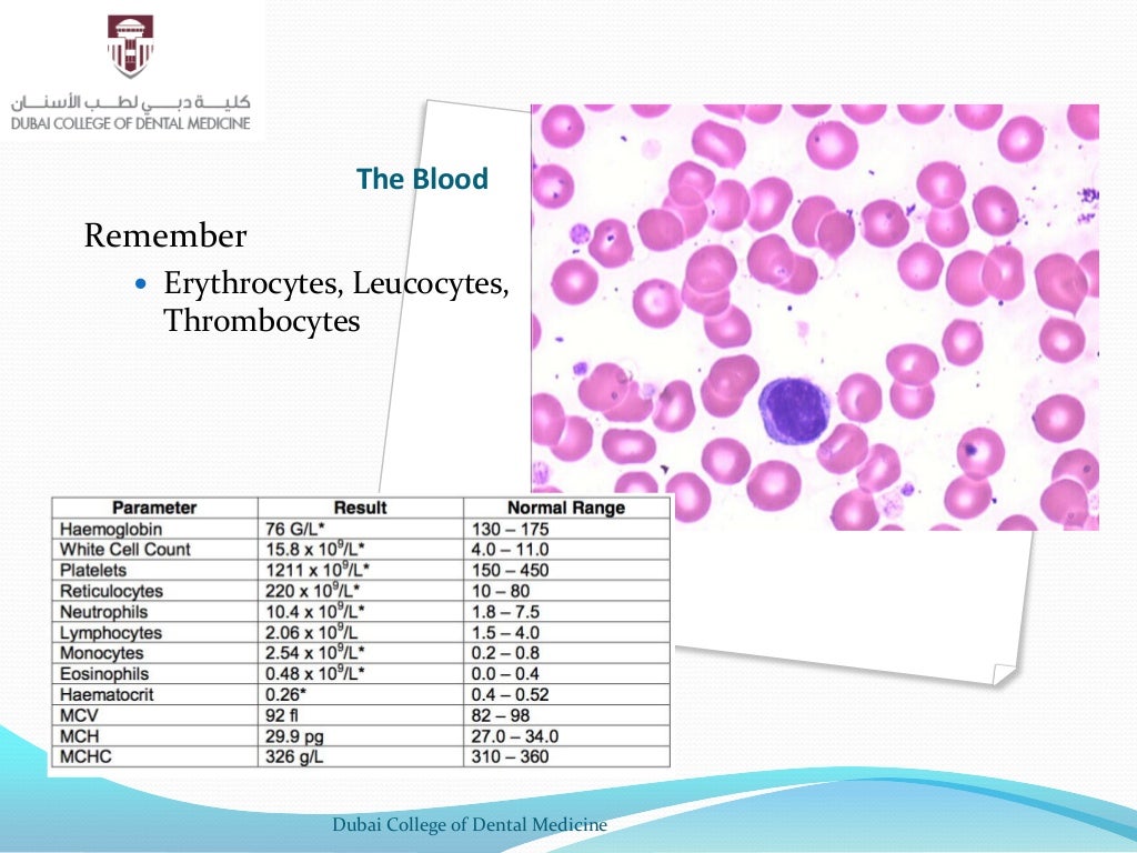 The blood core final